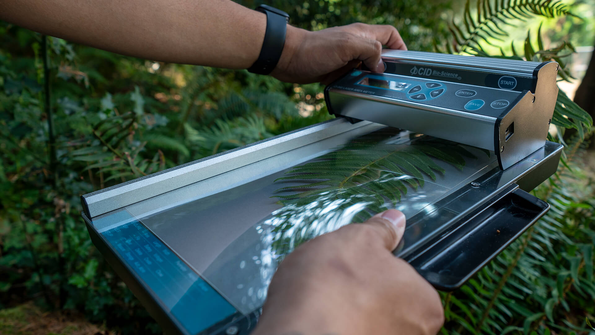 CI-202 Portable Laser Leaf Area Meter - CID Bio-Science