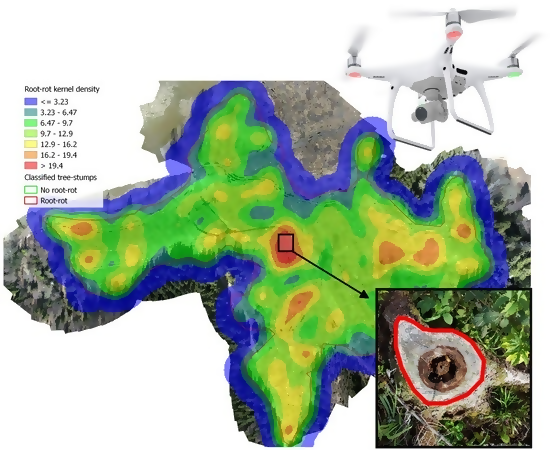 Precision Forestry in 2023 - A Revolution in Intensive Management - CID ...