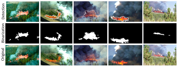 Precision Forestry in 2023 - A Revolution in Intensive Management - CID ...