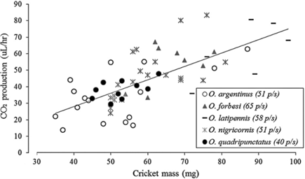 Studying Tree Cricket Signalling using Infrared Gas Analysis - CID Bio ...