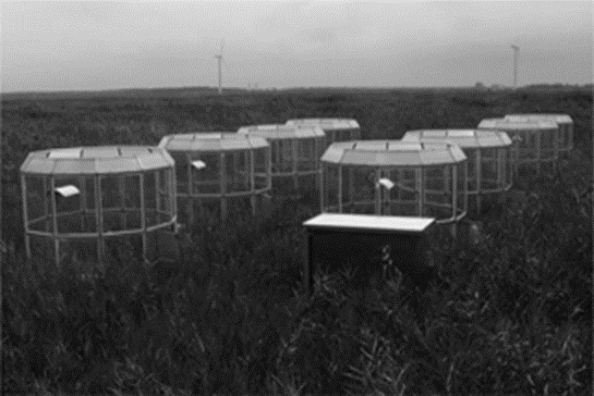 Leaf Area Measurement and Ecosytem Dynamics in a Changing Climate - CID ...