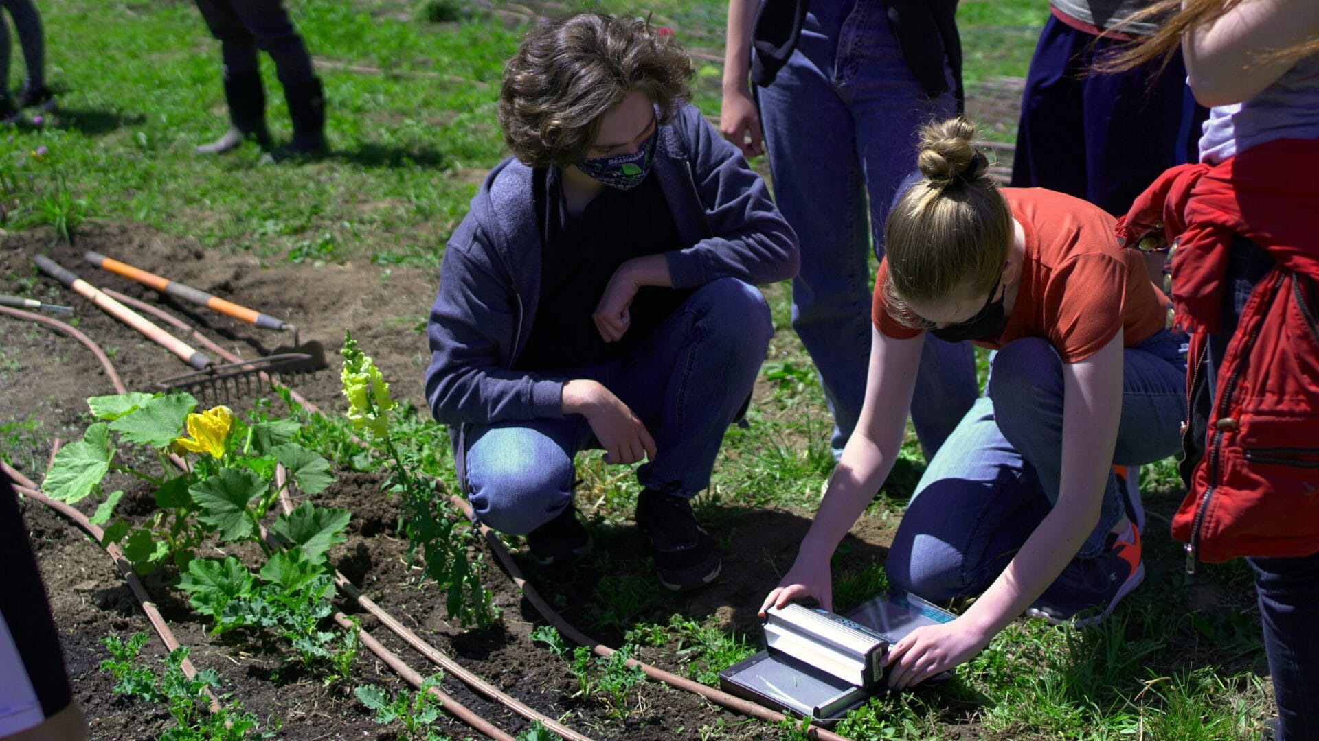 Modeling ecosystem functioning with precise plant data - CID Bio-Science