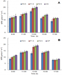 Measuring Competition in Crop Plants: Mechanisms & Outcomes - CID Bio ...