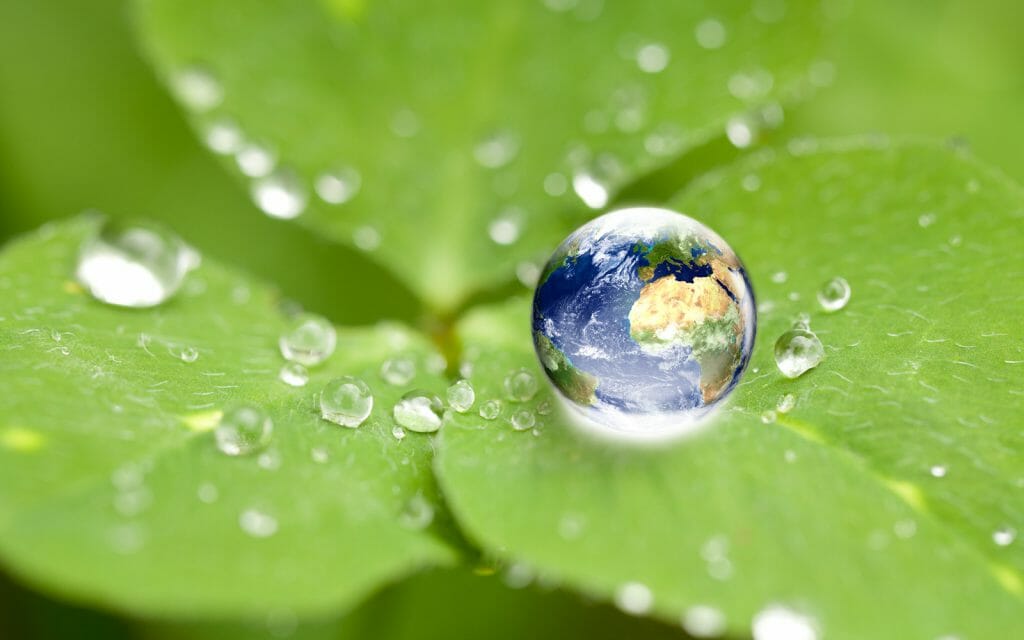 How is Climate Change Affecting Photosynthesis? - CID Bio-Science