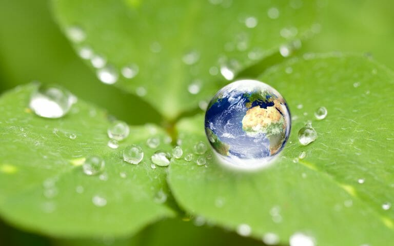 5 Ways to Improve Water Use Efficiency - CID Bio-Science