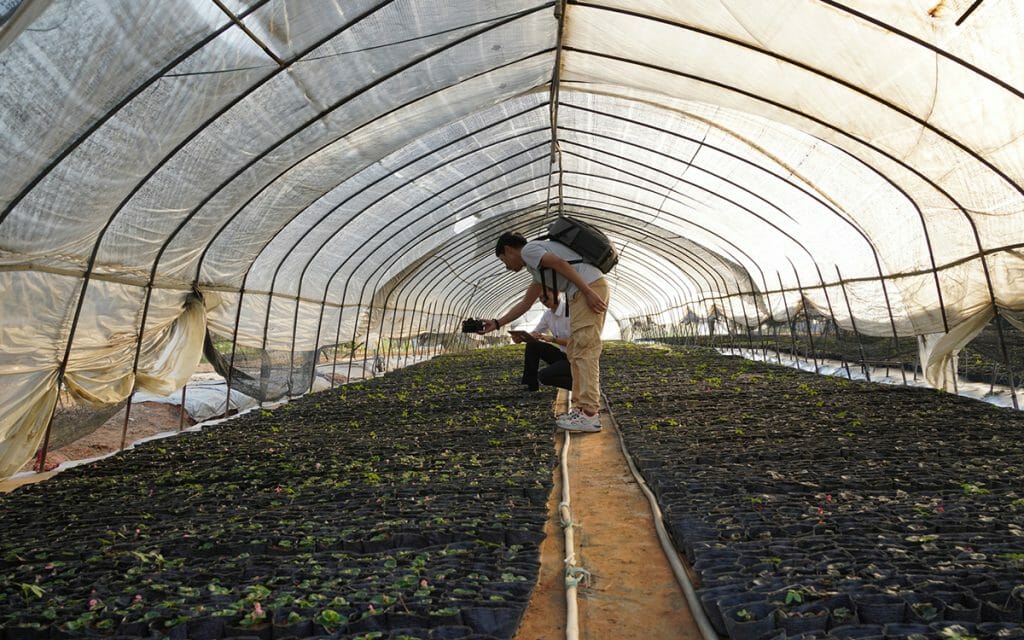 Seven Crucial Applications Of Leaf Area Data - CID Bio-Science