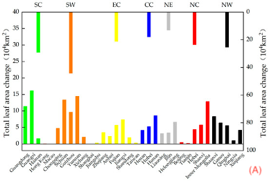 Seven Crucial Applications Of Leaf Area Data - CID Bio-Science