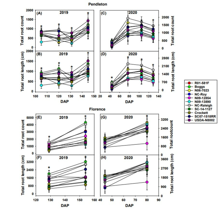 How the Root System Affects Yield - CID Bio-Science