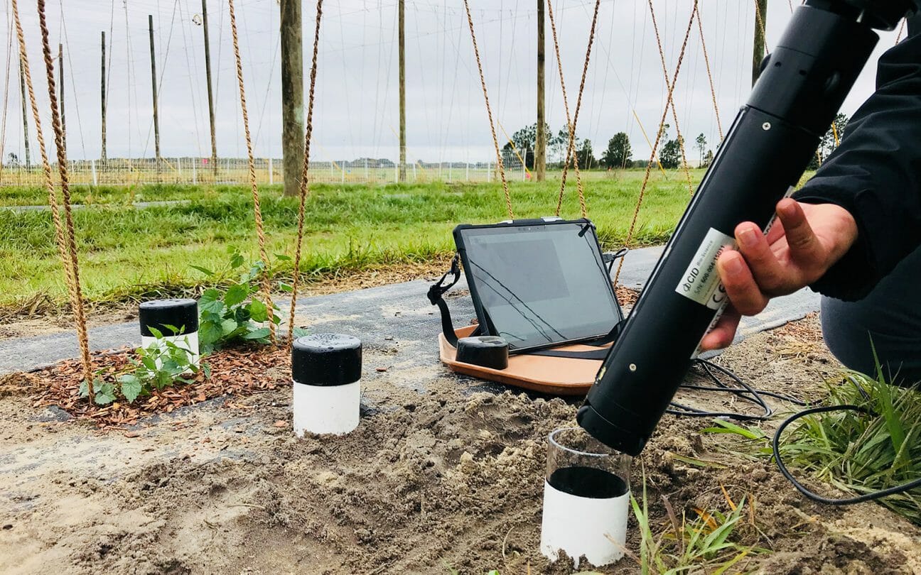 Root Systems’ Role in Ecosystems - CID Bio-Science