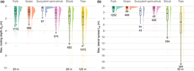 The 10 most-cited Studies on Root Research in 2022 - CID Bio-Science