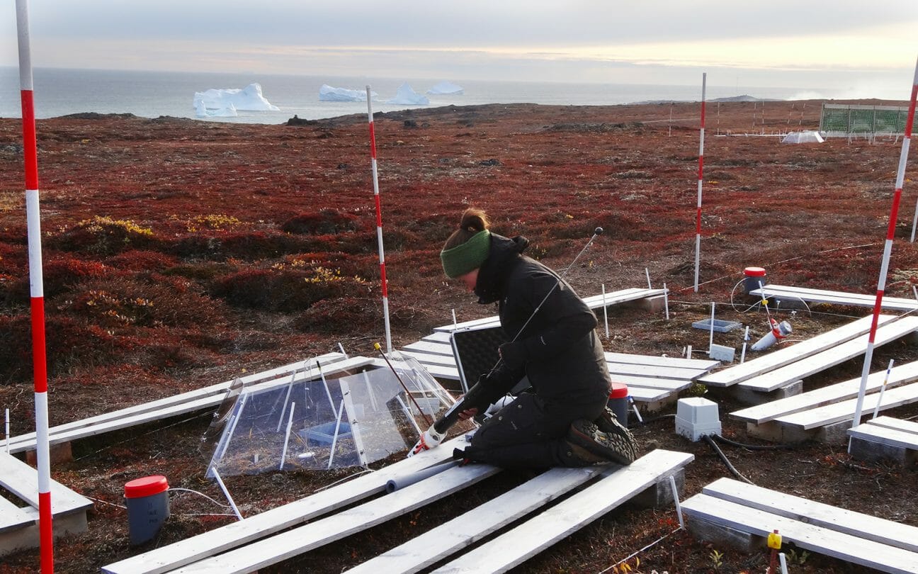 Discover the Revolutionary CI-600 In-Situ Root Imager for Non ...