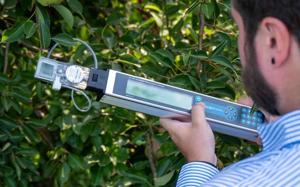 What is Plant Productivity, and How to Measure It - CID Bio-Science