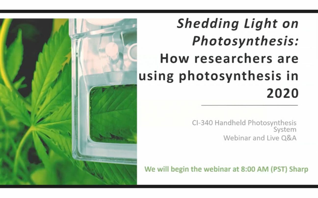 Shedding a Light on Photosynthesis - CID Bio-Science