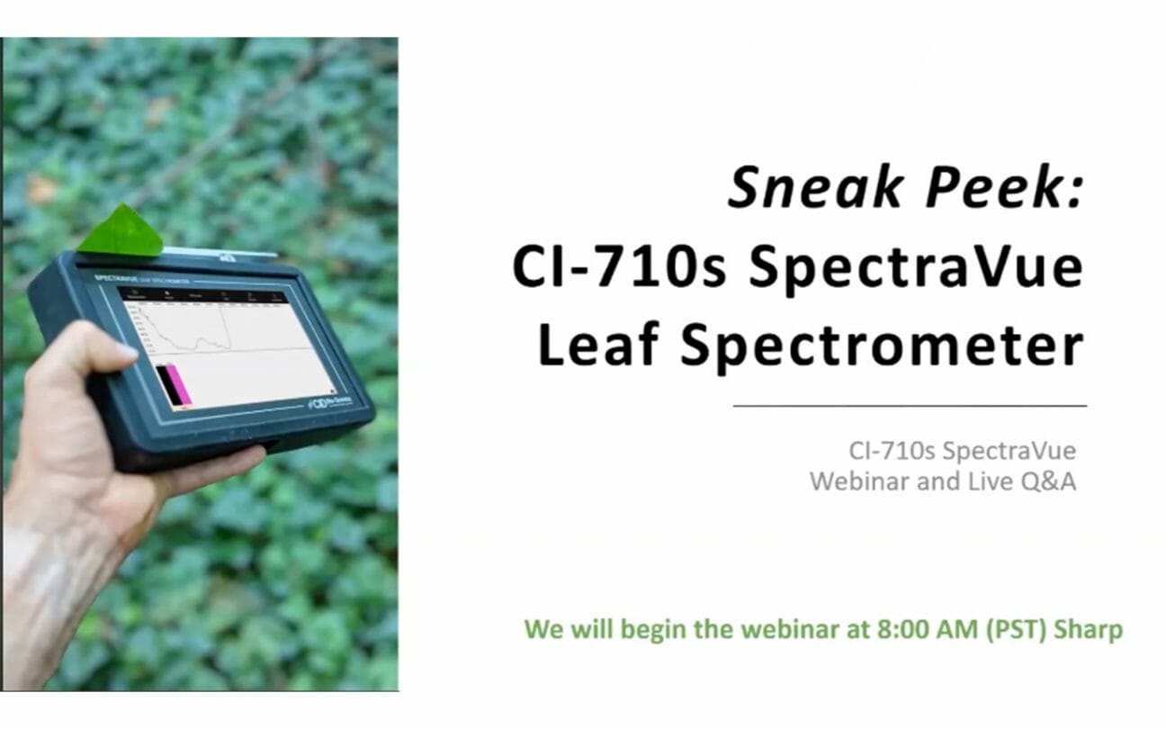 Shedding Light on Forest-Savanna Transitions: A Deep Look into Canopy ...