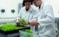 A Comprehensive Glossary of Plant Science Terms: Delving into the World ...