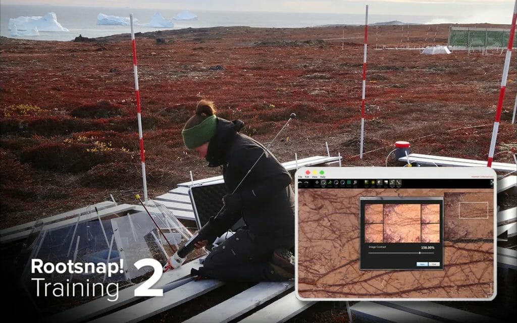 Rootsnap! Training Pt. 2: Tracing Out Root Systems and Accurately ...