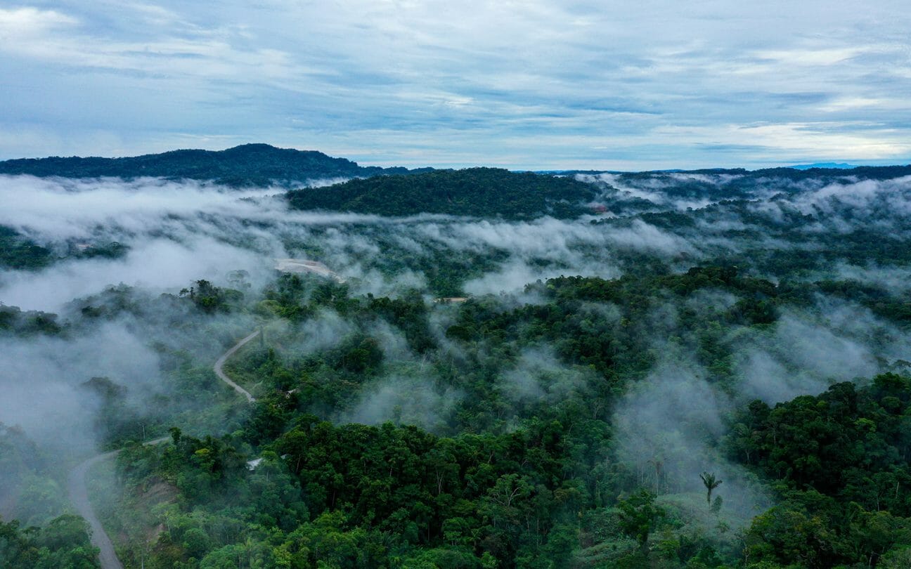 Exploring Vegetative Shading: An Insight into Ecological Complexities ...