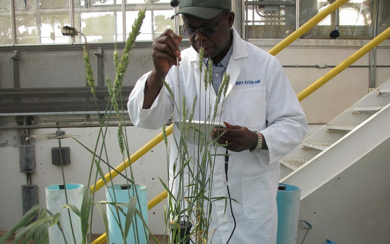 How to Measure Stress in Plants Using Leaf Spectroscopy