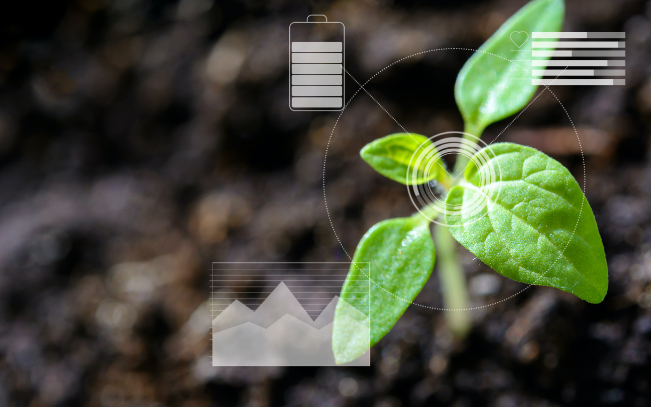 Mastering Precision Agriculture: A Comprehensive 6-Question Guide - CID ...