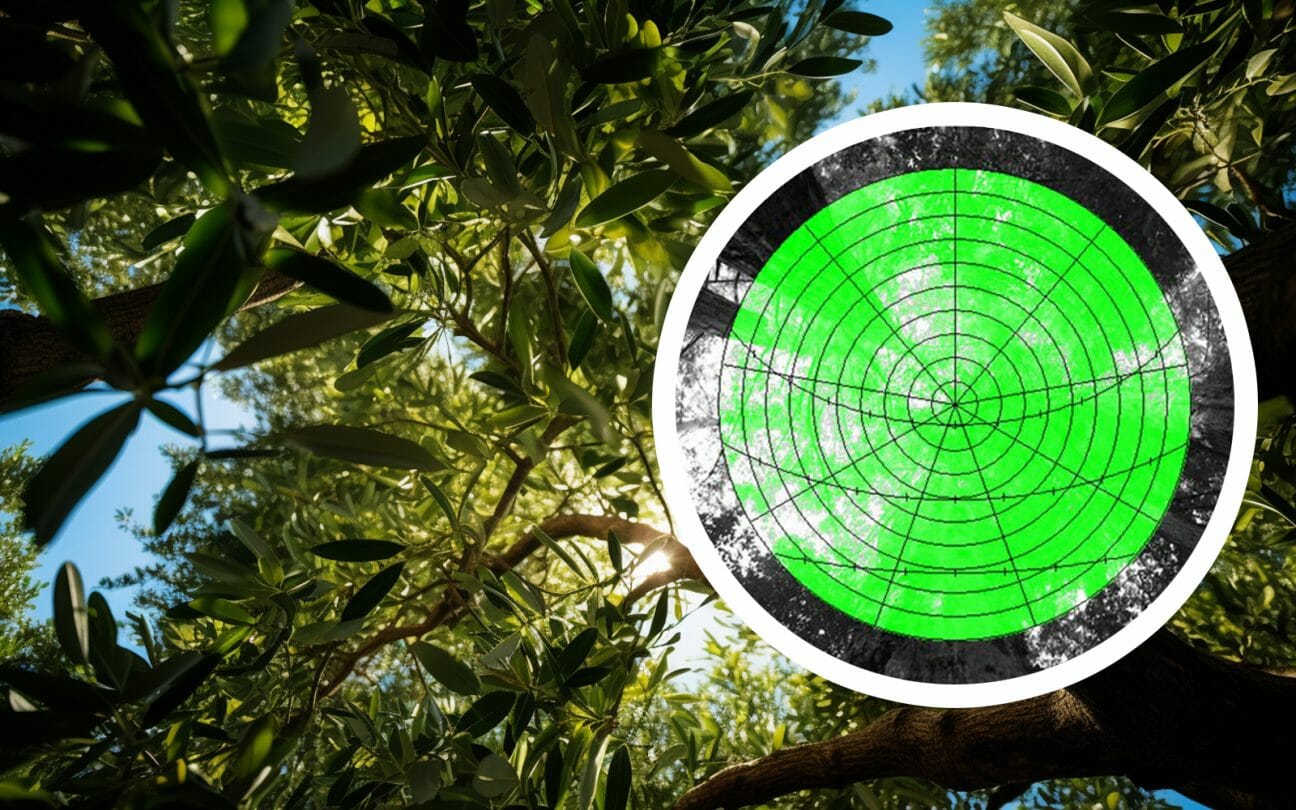 How Does Crop Canopy Structure Affect Yield? 5 Key Factors Explained