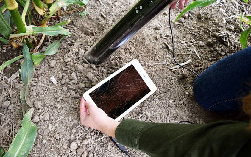 Guide Connecting Root Traits To Functions Cid Bio Science