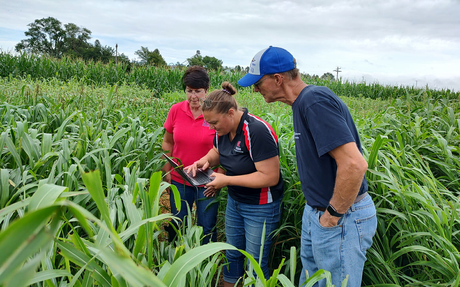 Comparing the Usability Between CID Bio-Science's CI-600 Root Imager ...