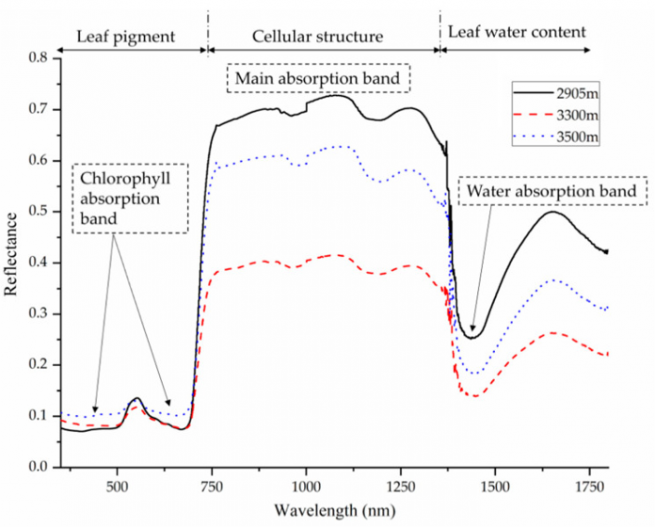 How to Measure Stress in Plants Using Leaf Spectroscopy
