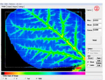 How to Measure Stress in Plants Using Leaf Spectroscopy
