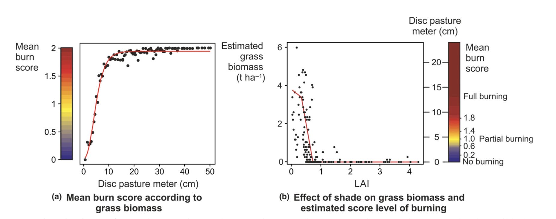 Shedding Light on Forest-Savanna Transitions: A Deep Look into Canopy Closure, Light Gradients ...