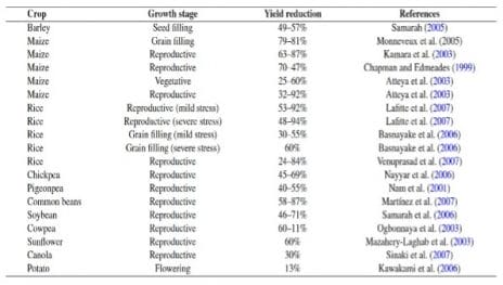 Understanding Drought Impact on Crop Yield