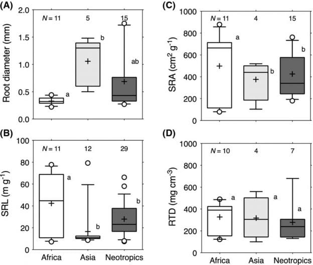 Understanding Fine Root Dynamics: Insights and Methodologies