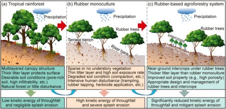 How Effective is Plant Cover for Soil Erosion Control?