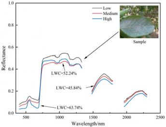 How Leaf Spectroscopy in Agriculture Optimizes Precision Farming