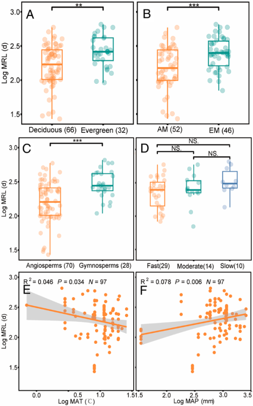 A Look Back at Root Research Breakthroughs in 2024