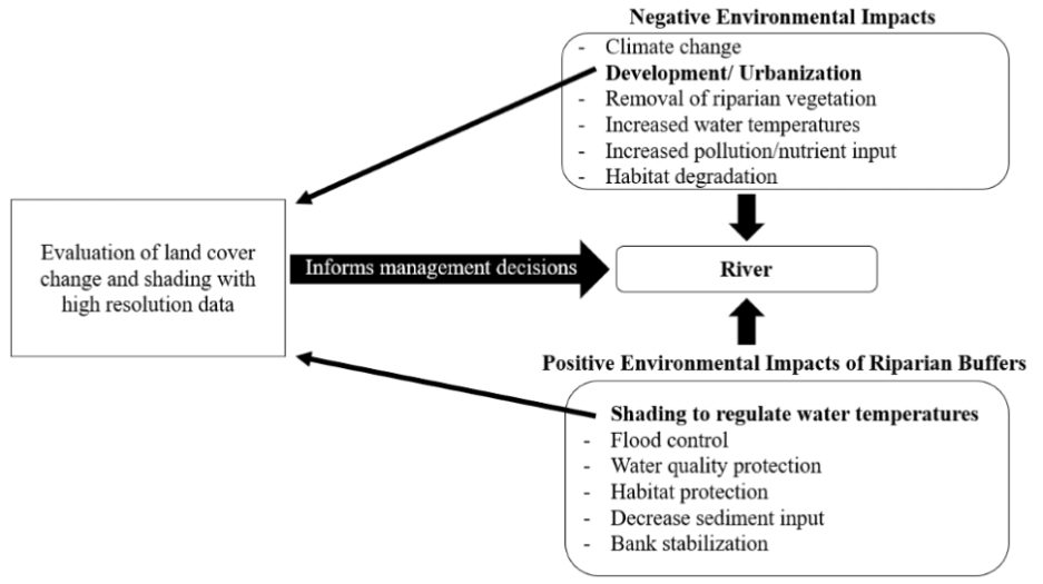 Why is Riparian Canopy Cover important for Water Quality and Wildlife