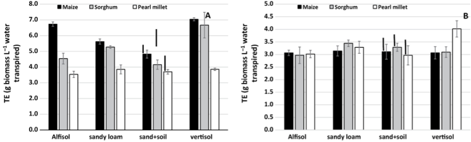 What Is Transpiration Efficiency and Why Does It Matter?