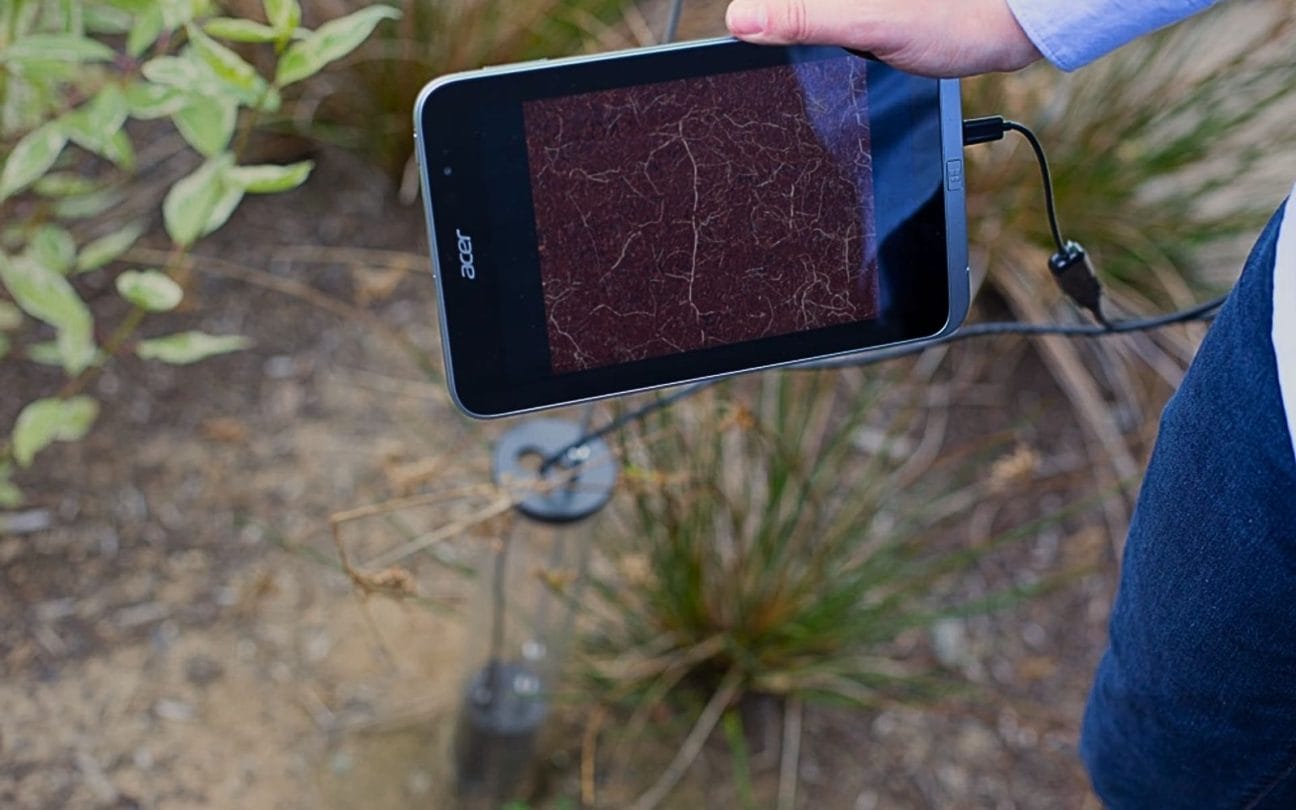 What Are the Key Root Traits to Improve Transpiration Efficiency?