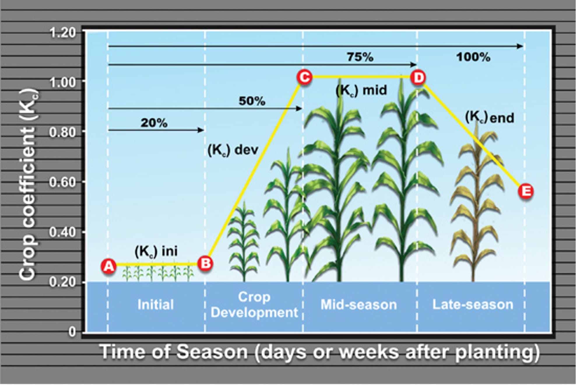 What Is Crop Coefficient and Is It Essential for Irrigation Efficiency?