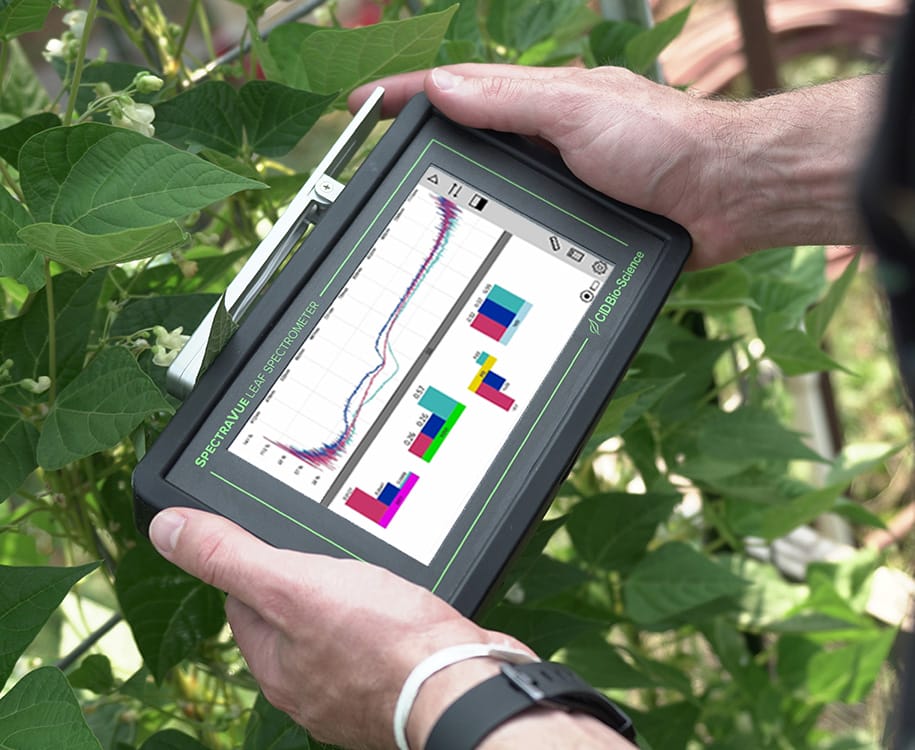 Spectral Leaf Measurements (CI‑710s) for Nutrient Deficiency Detection ...