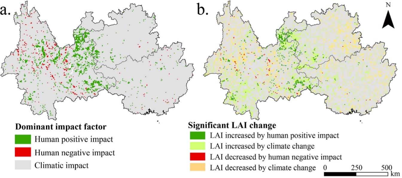What Is Leaf Area Index and Why Is It Essential for Plant and Climate ...